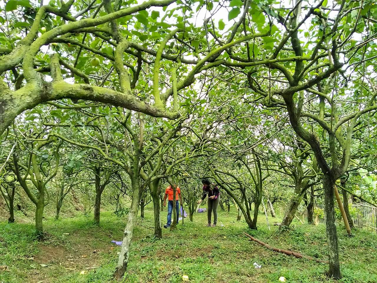 Our Package – exotic java adventure