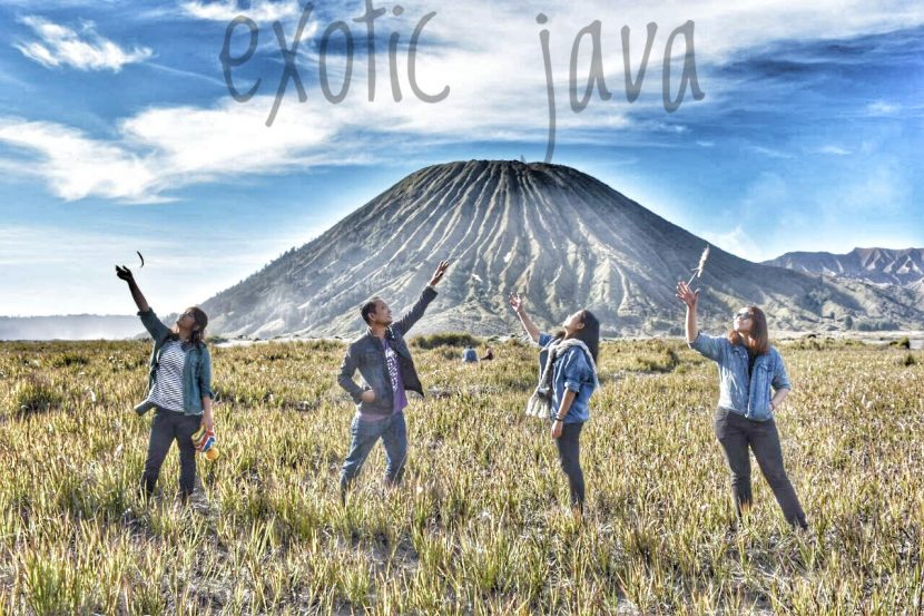About us – exotic java adventure